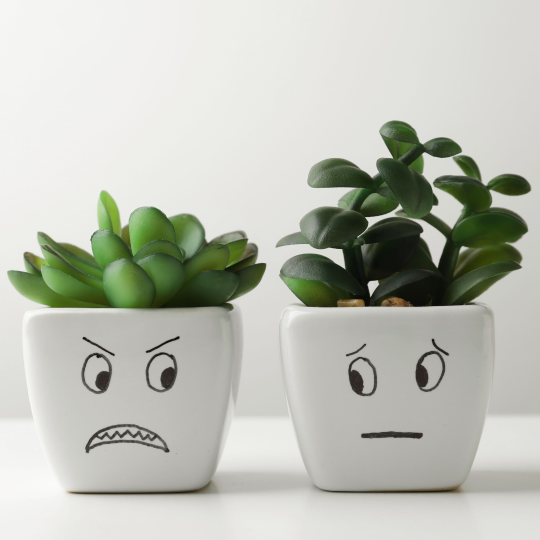 Social Anxiety and Peer Relationships | Cognitive and Behavioural ...